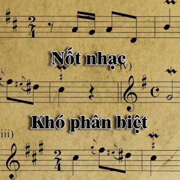 Nhạc lý cơ bản cho người mới bắt đầu.